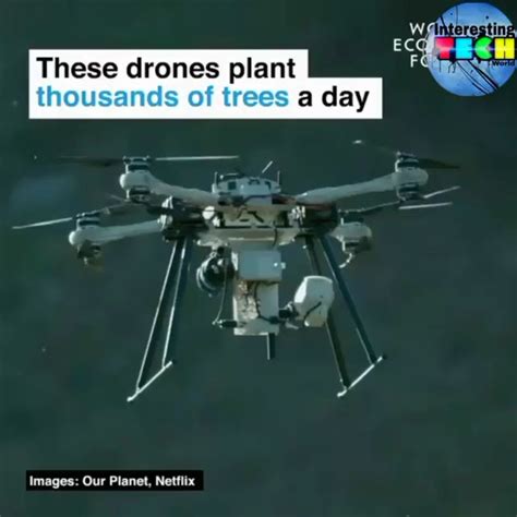 These Seed Firing Drones Plant Thousands Of Trees Each Day Watch The