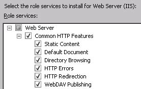 IIS X Web Server Installation Process