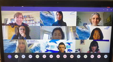 International Meeting To Review Approaches To Cetacean Bycatch Monitoring And Mitigation Accobams