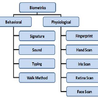 PDF BIOMETRIC AUTHENTICATION A REVIEW