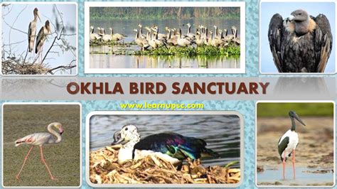 Okhla Bird Sanctuary Learn Upsc
