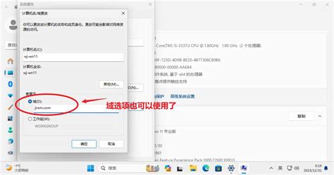 完美实现windows11家庭版升级到专业版并永久激活！ 哔哩哔哩