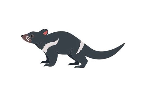 Tasmanian Devil Svg Cut File By Creative Fabrica Crafts · Creative Fabrica