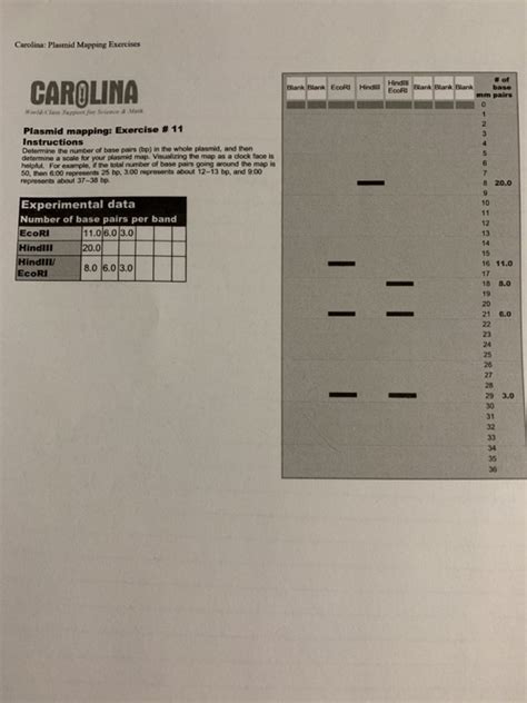 Solved Carolina Plasmid Mapping Exercises CAROLINA Chegg Com