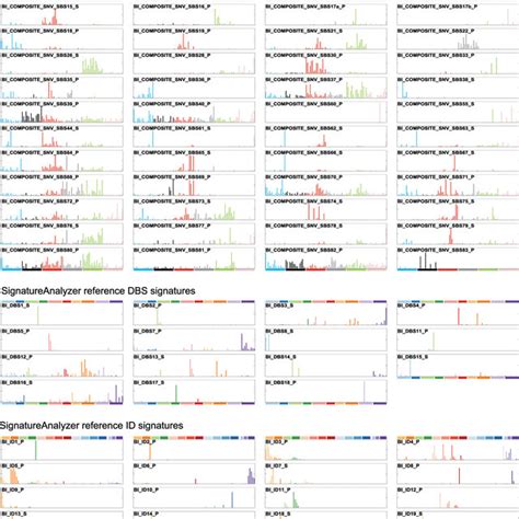 Profiles Of Sbs Dbs And Small Indel Mutational Signatures The