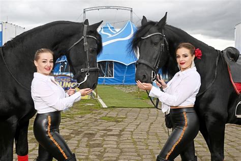 Fluch Der Karibik Am Blauen Wunder In Dresden Familien Zirkus