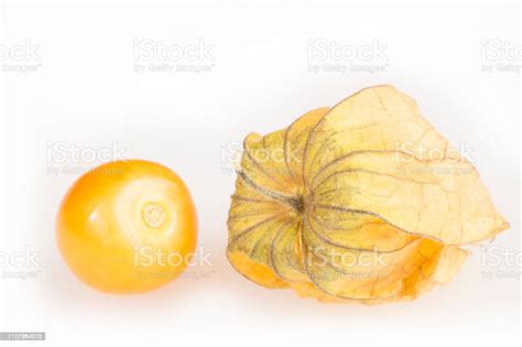 골든 베리 흰색 배경physalis Peruviana 케이프 구 즈 베리 0명에 대한 스톡 사진 및 기타 이미지 0명