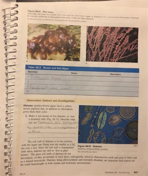 Solved Figure Red Algae Generally Red Algae Are Chegg Com