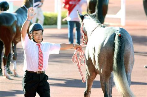 約50年の厩務員人生に幕 池田康宏厩務員と阪神競馬場の深い縁 競馬ニュース Netkeiba