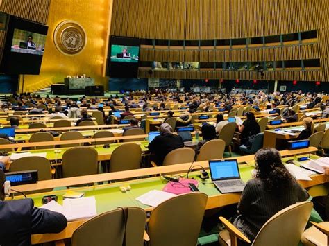 Un General Assembly Adopts Resolution On The Implementation Of The Convention On Biological