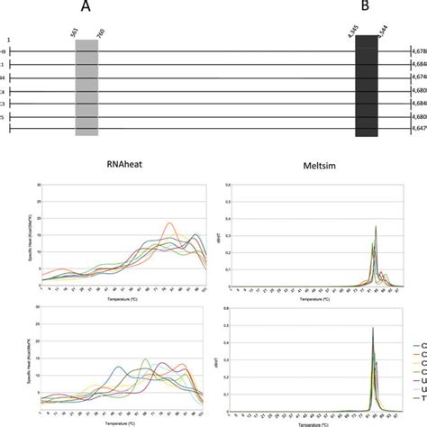 Regions With Conserved Rna Secondary Structures And Their Respective