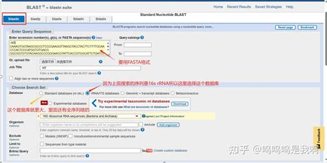 构建系统发育树进化树 知乎