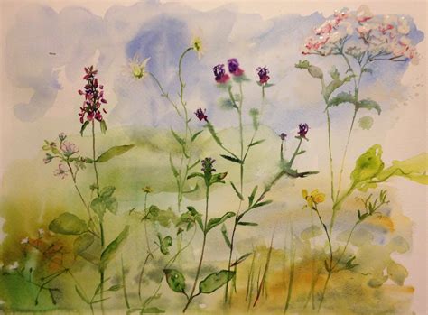 Painting And Drawing Diary Thursday Th June Wild Meadow Flowers