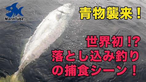 世界初 最強の釣り落とし込み釣りの仕掛けにGoProつけて撮影してみた YouTube