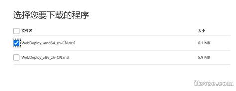 【实战】使用 vs 2019 将项目发布到远程 iis 服务器 小渣渣 博客园
