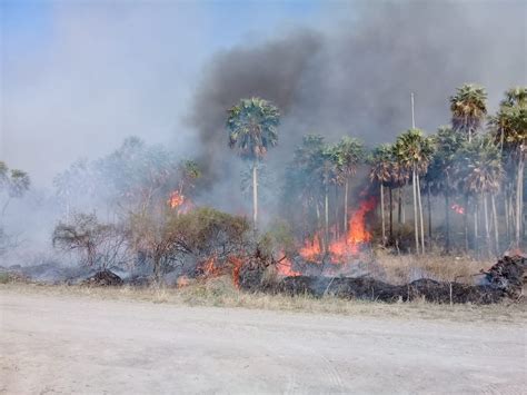 La Sequía Y Los Incendios No Ceden En Formosa Y El 90 De La Provincia