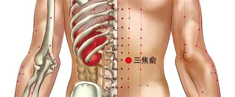 名松堂中医说每日一穴三焦通百病消腰部有一穴位三焦俞可以调理三焦补肾强腰 知乎