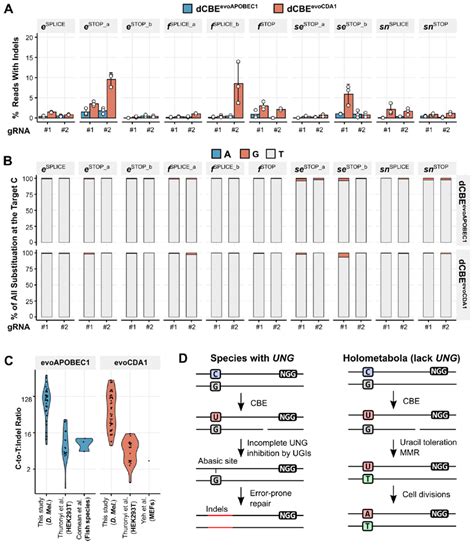 A Temperature Tolerant Crispr Base Editor Mediates Highly Efficient And
