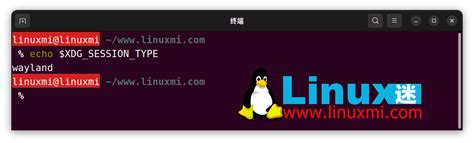 Linux 系统上享受 Android 应用程序和游戏 运行 Wayland Ubuntu