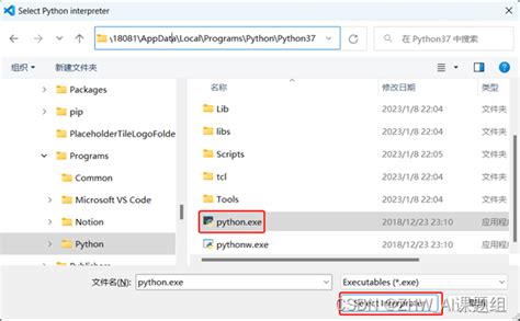 如何在vscode中添加python解释器并安装python库 vscode python解释器 csdn博客