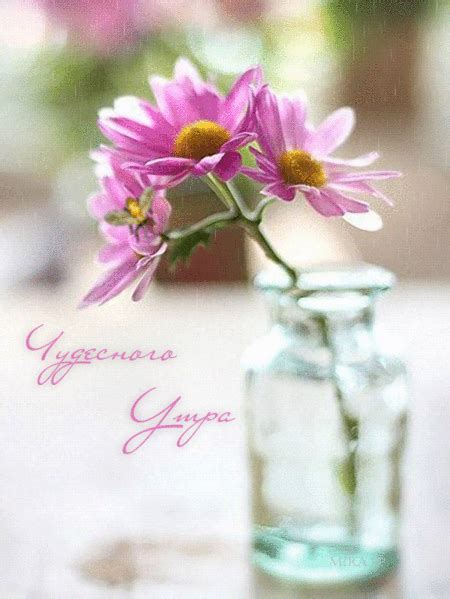 Анимированная открытка Чудесного утра чудесное утро