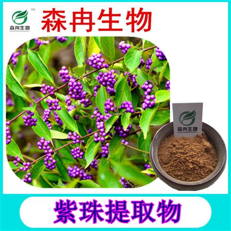 紫珠图片功效 盆景 大叶紫珠图片与效 大山谷图库