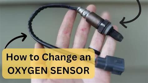 Crucial Facts About Oxygen Sensors You Can T Afford To Miss