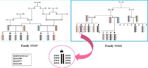 Two Families 19 315 And 19 342 Shared The Same Haplotypes
