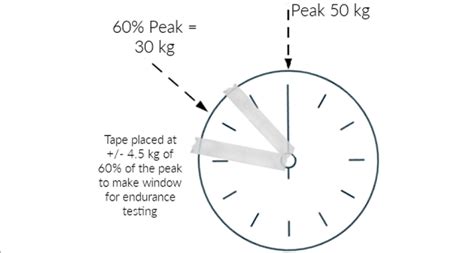 Hand Dynamometer Setting At Peak HGS Download Scientific Diagram