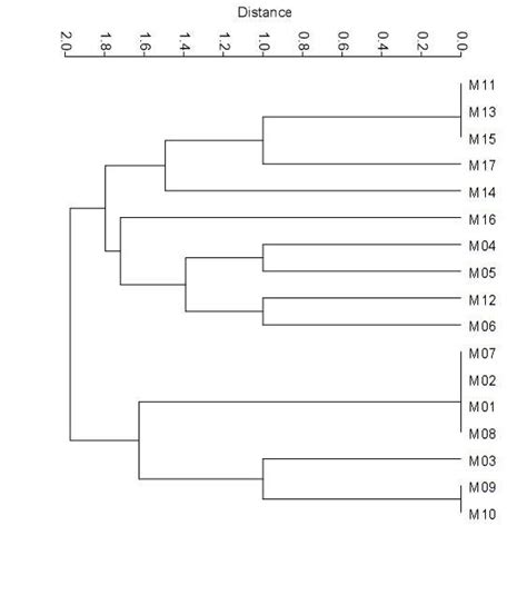 Dendrogram Of 17 Maize Samples Using Opaque 2 Specific Ssr Marker Based