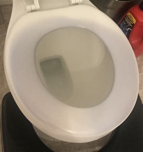 Turning Toilet Seat Blue At David Delarosa Blog