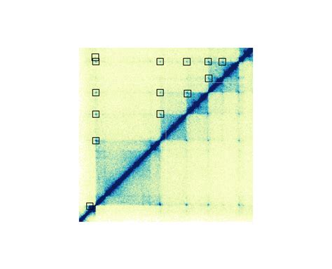 Plot Annotations • Plotgardener