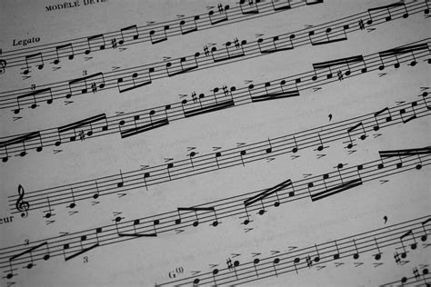 More Than By Ear The Suzuki Method And Music Notation — Triad Suzuki