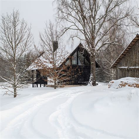 Arsenit Nestles One Legged Treehouse In Estonian Pine Forest