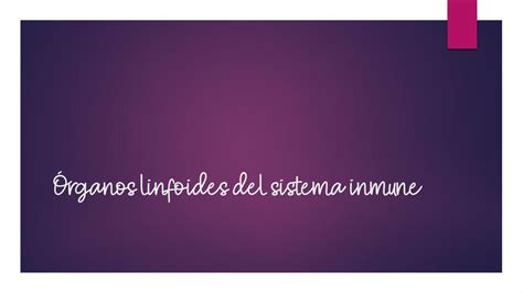 Órganos linfoides del sistema inmune Julissa Salinas uDocz