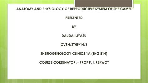 Anotomy And Physiology Of Reproductive System Of She Camel Pptx