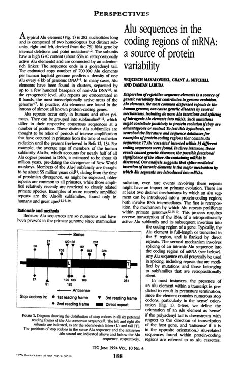 Pdf Alu Sequences In The Coding Regions Of Mrna A Source Of Protein