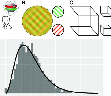Bistable Displays And Typical Distribution Of Dominance Phase