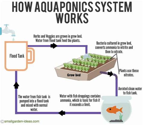 Aquaponics Systems For Indoor Gardening Small Garden Ideas