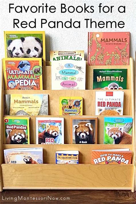 Favorite Books For A Red Panda Theme Living Montessori Now
