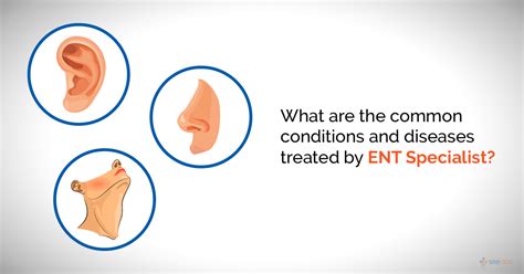 Most Common Conditions And Diseases Treated By Ent Specialists