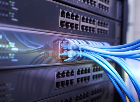Network Cables Connected To Switch Stock Photo Image Of Exclusivity Information