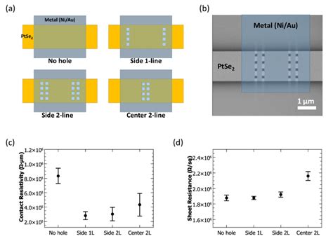 A Schematic Diagram Of The Metal Ni Ptse 2 Contact Area