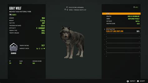 Diamond Gray Wolf Rhuntercallofthewild
