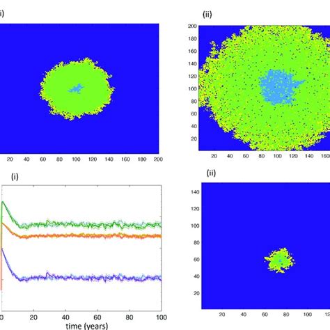Spatial Patterns Observed In The Agent Based Model With Negative