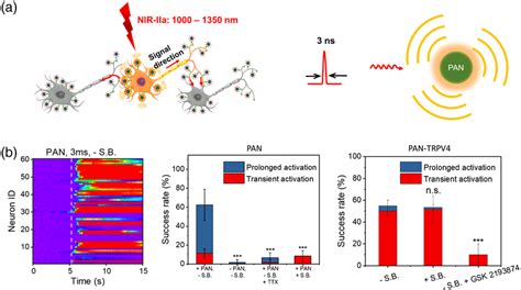 Nanotransducer Mediated Optoacoustic Neural Stimulation A Scheme Of Download Scientific