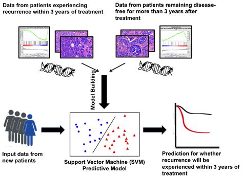 Svm Model For Accurate Breast Cancer Prognosis Devpost