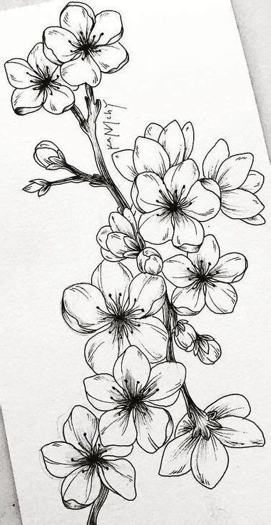 Pin By Sami Acosta On Flower Sketch Flower Drawing Flower Art