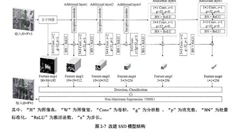 基于深度学习的灵武长枣检测与成熟度分类系统研究 知乎