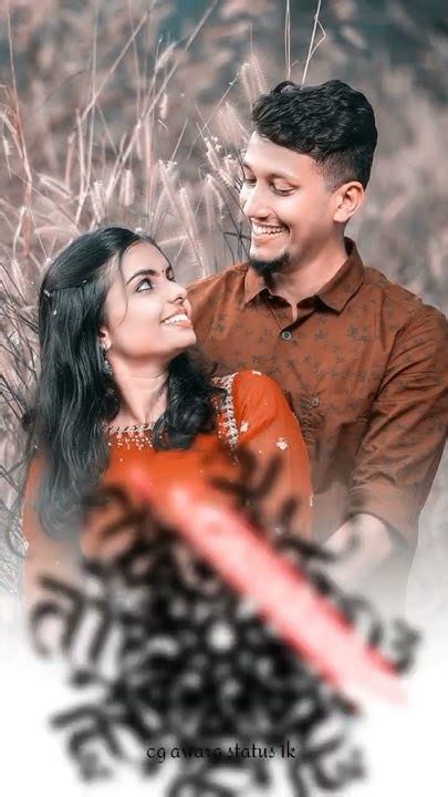 Cg Song ऐ गोंदा तोला रे तोला रे तोला रे ऐ हिरा तोला रे तोला ये तोला अ ऐ